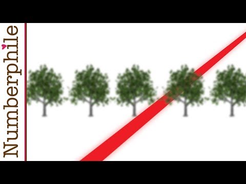 Tree Gaps and Orchard Problems - Numberphile