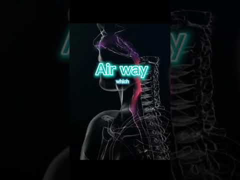 AIR WAY - MEDICAL DEFINITION | Medical Consecutive Interpreting