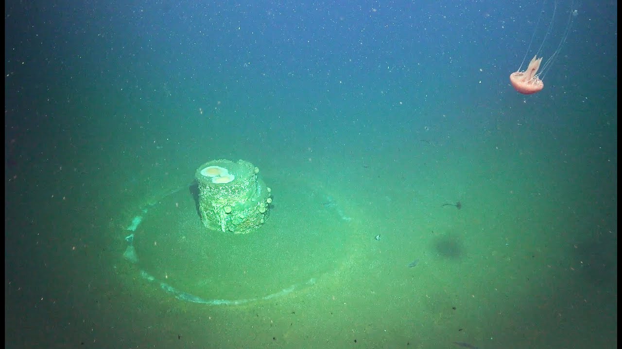Examining DDT in the Deep Ocean - Biodiverse Borderlands