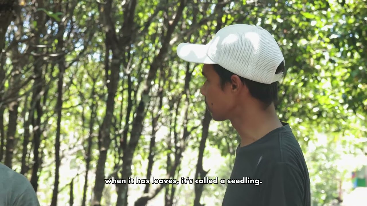 Restoring Mangroves in Segara Anakan | Cilacap | Trees4Trees