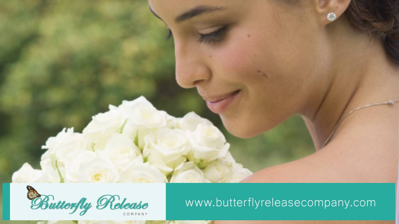 Butterfly Release Company, Inc