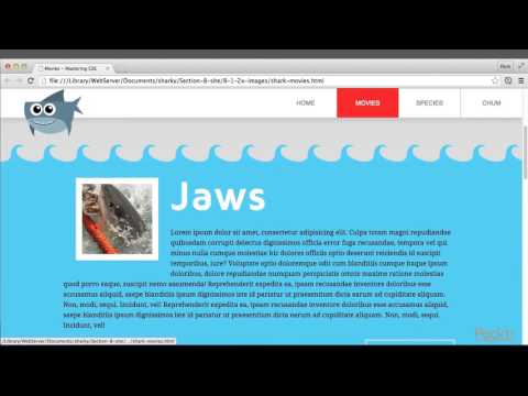 Learn Mastering CSS Second Edition 2x Images | packtpub com - Mind Luster