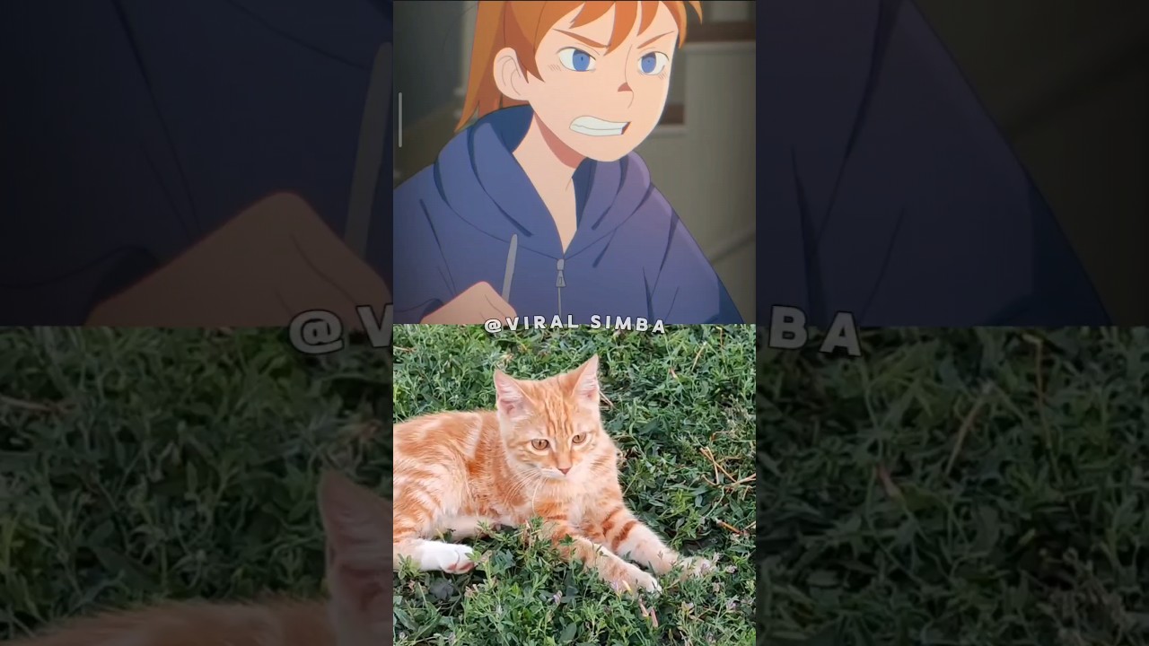 😈 Angry gets Riley! Inside Out 2 Cat Animation