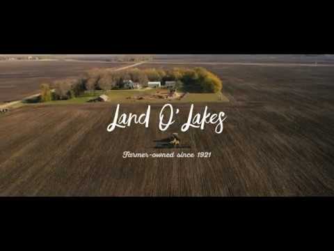 The Farmer