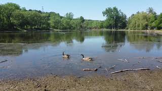 3 Best Hiking Trails in Repentigny, QC - Expert Recommendations