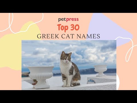 Top 30 Greek Cat Names | Funny & Cute kitten names for your new feline friend