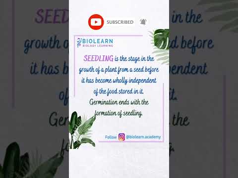 SEEDLING Definition | Meaning of Seedling | BioLearn