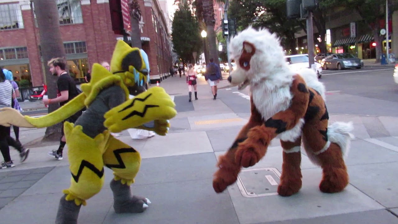 Arcanine VS Zeraora - Sac Anime summer 2019 - Must be 18 or older to order