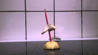 There's A Video Of A Waffle Falling Over And Now It's A Meme