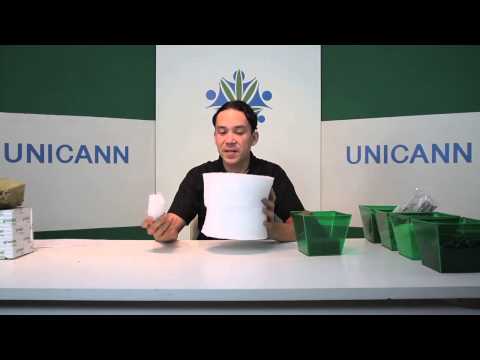 Cannabis University - Mediums - Oasis Cubes STG