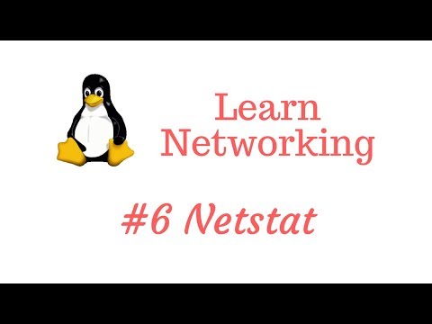 Netstat for Tracking Detailed Network Statistics (6/14)