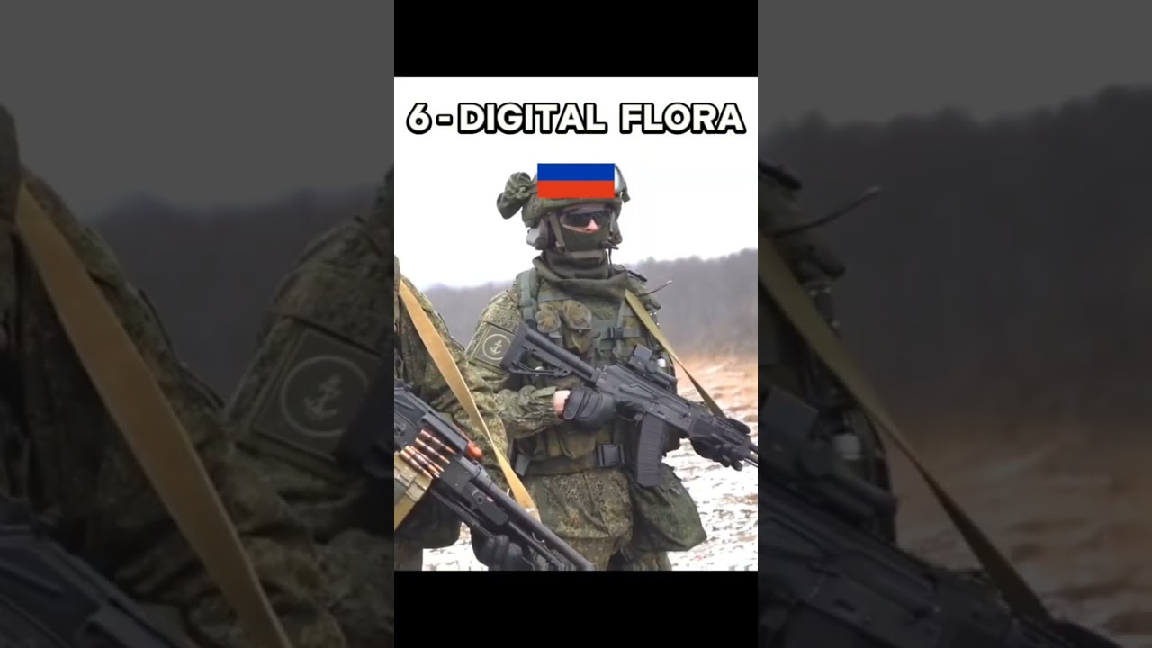 top 7 best military camos woodland edition part 1