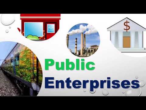 Public Enterprises, Meaning and characteristics