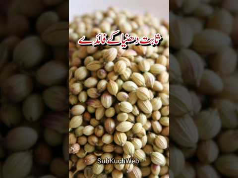 Sabut Dhaniya Ke Fayde, Health Benefits of Coriander Seeds #coriander #healthbenefits #youtubeshorts