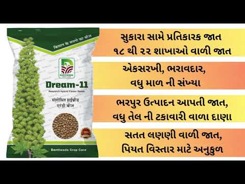 Kisan Vikas Kendra - Retailer of Castor Seeds & Cotton Seeds from Vadodara