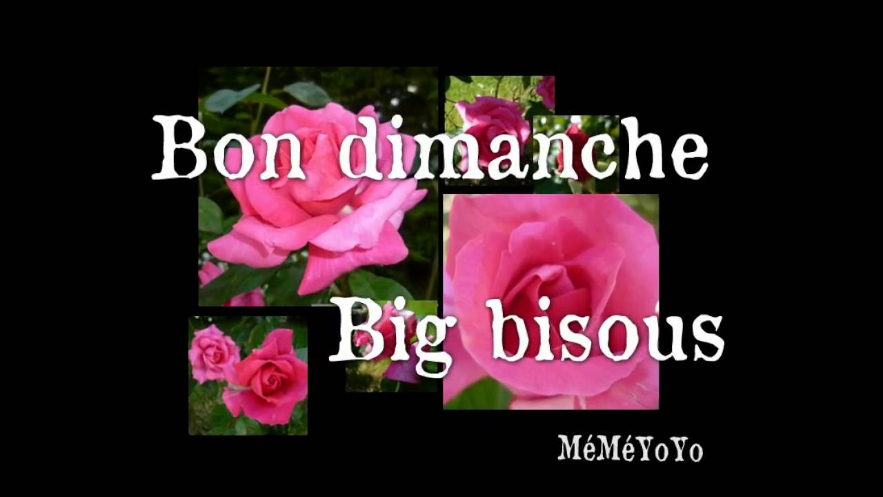 bon dimanche rose