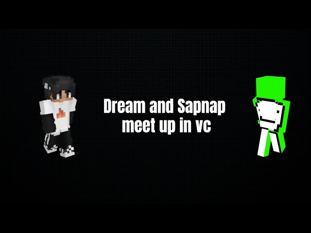 Sapnap reportedly drove to Dream's house for a meetup, and the internet ...