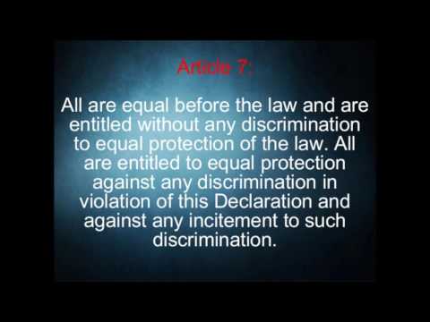UDHR Universal Declaration Of Human Rights Article 7