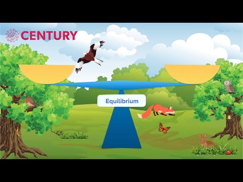 Introduction to Ecosystems | Geography