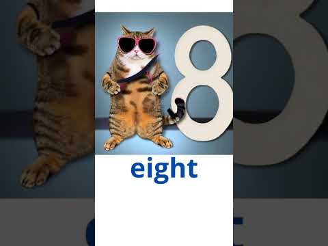eight , ocho