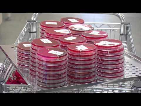 APAS -- Automated Plate Assessment System