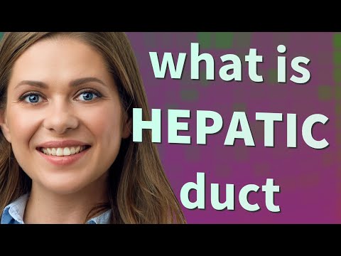 Hepatic duct | meaning of Hepatic duct