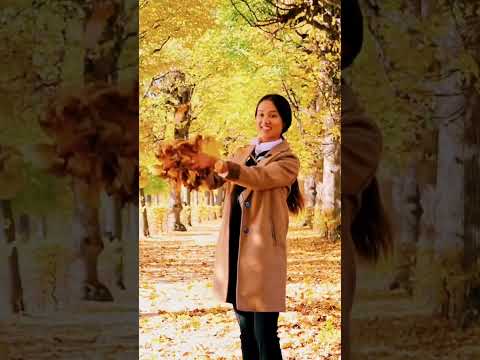 Autumn video shoot | Behind the scene 🍂