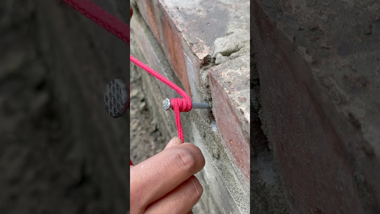 Every time we need this kind of knot! #movie #shorts