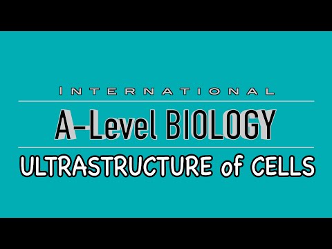 A Level Biology: Ultrastructure of cells