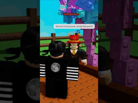 Owner of Grow A Garden is bringing Candy Blossom Seeds Back! #roblox #shorts