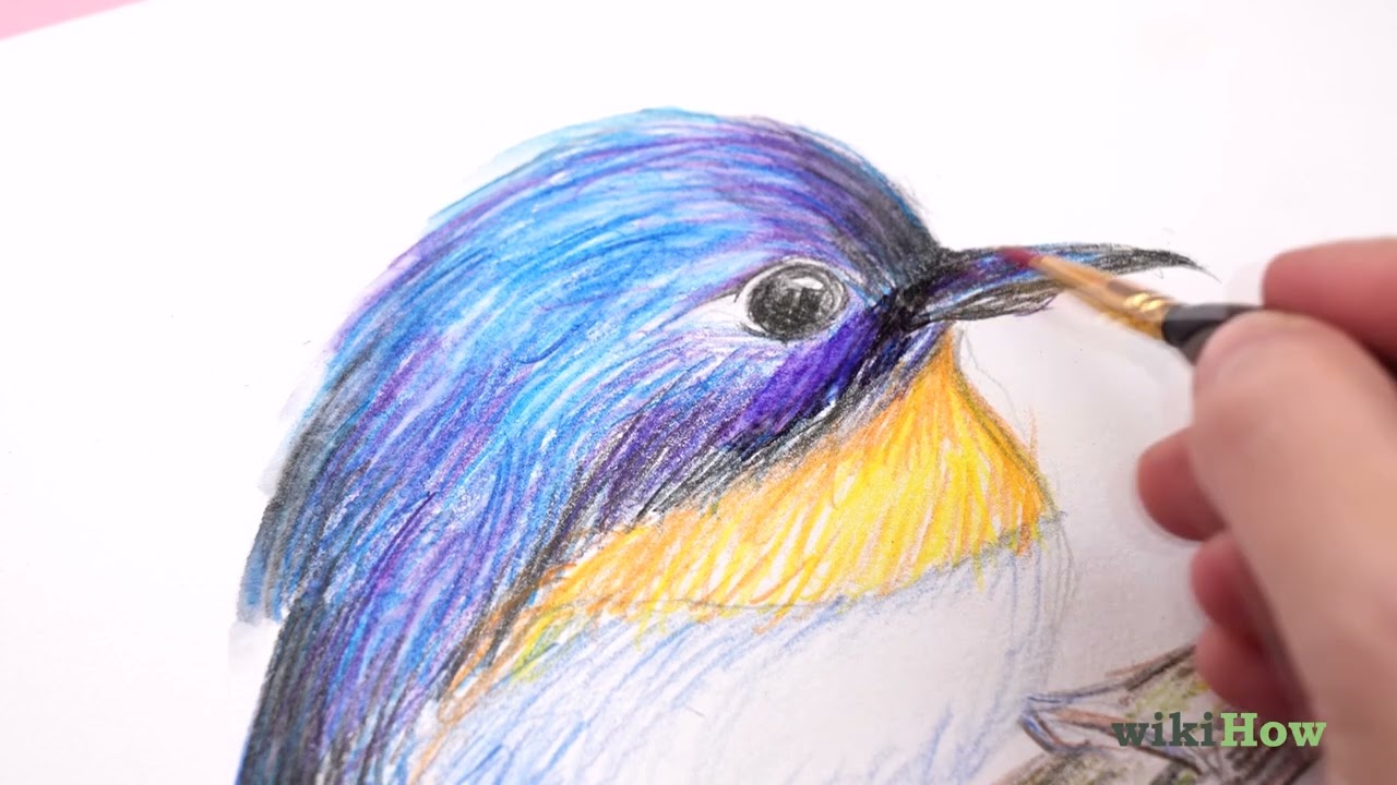 How to Use Watercolor Pencils