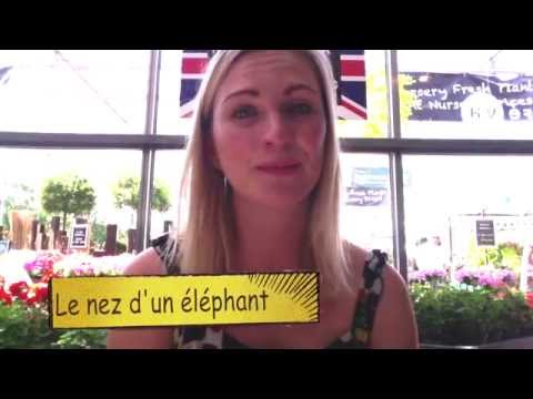 Elephant, Rabbit, Dog, Nose Game in French
