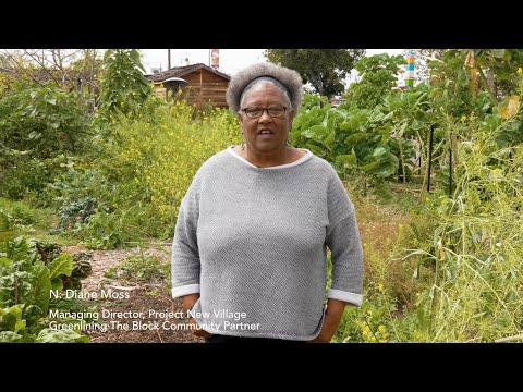 #GreenliningTheBlock Partner Spotlight: Project New Village