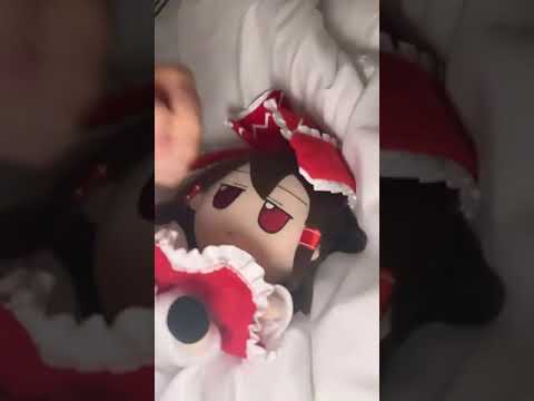 Fumo Reimu gets pummeled