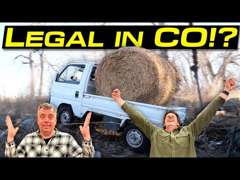 FINALLY...A Legal WIN for the Little Guy: Kei Trucks Are Back(ish)!