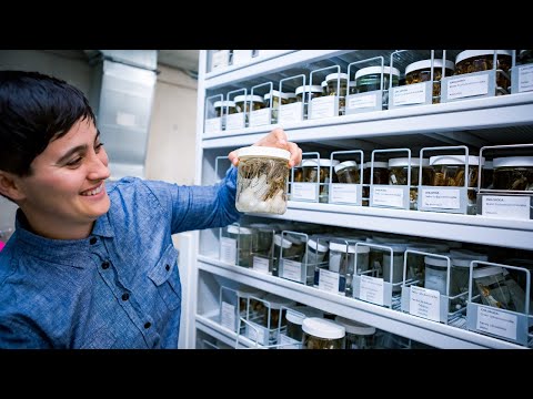 🏳️🌈Breakfast Club, Pride Week 1(Ep. 21): Dr. Lauren Esposito on LGBTQ+ Visibility in STEM