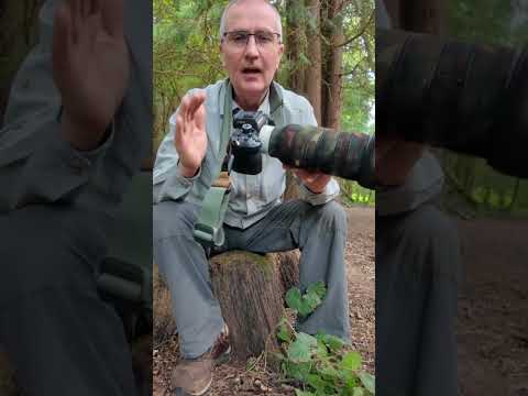 Sony Teleconverter Compatibility Mistakes ! on "Camilla & I"