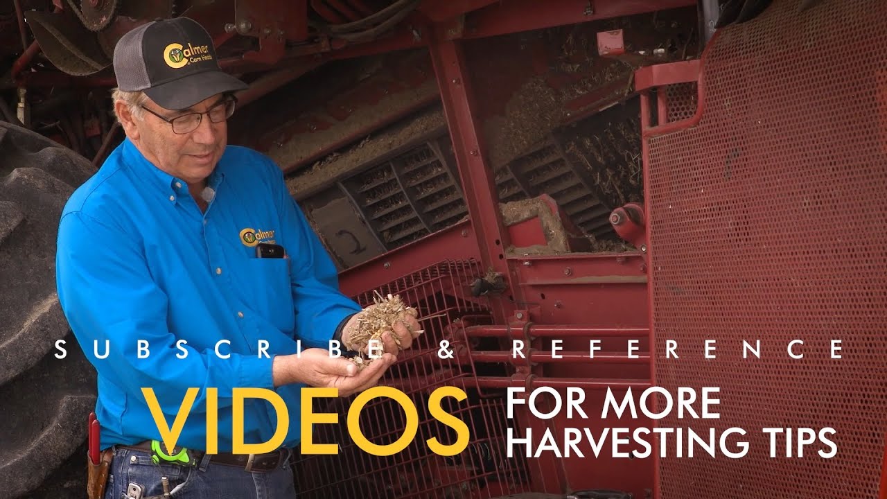 Marion Calmer: How to Do a Rolling Combine Kill-Stop Examination