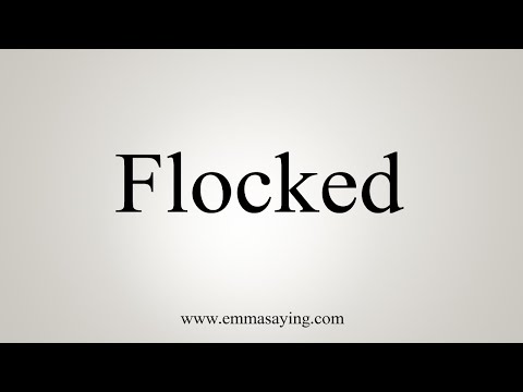 How To Say Flocked