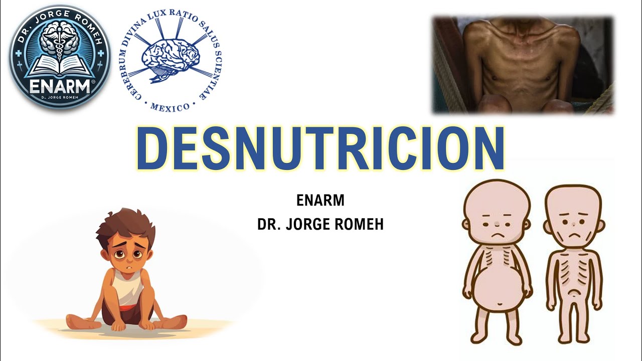 Malnutrition - ENARM - Everything you need to know