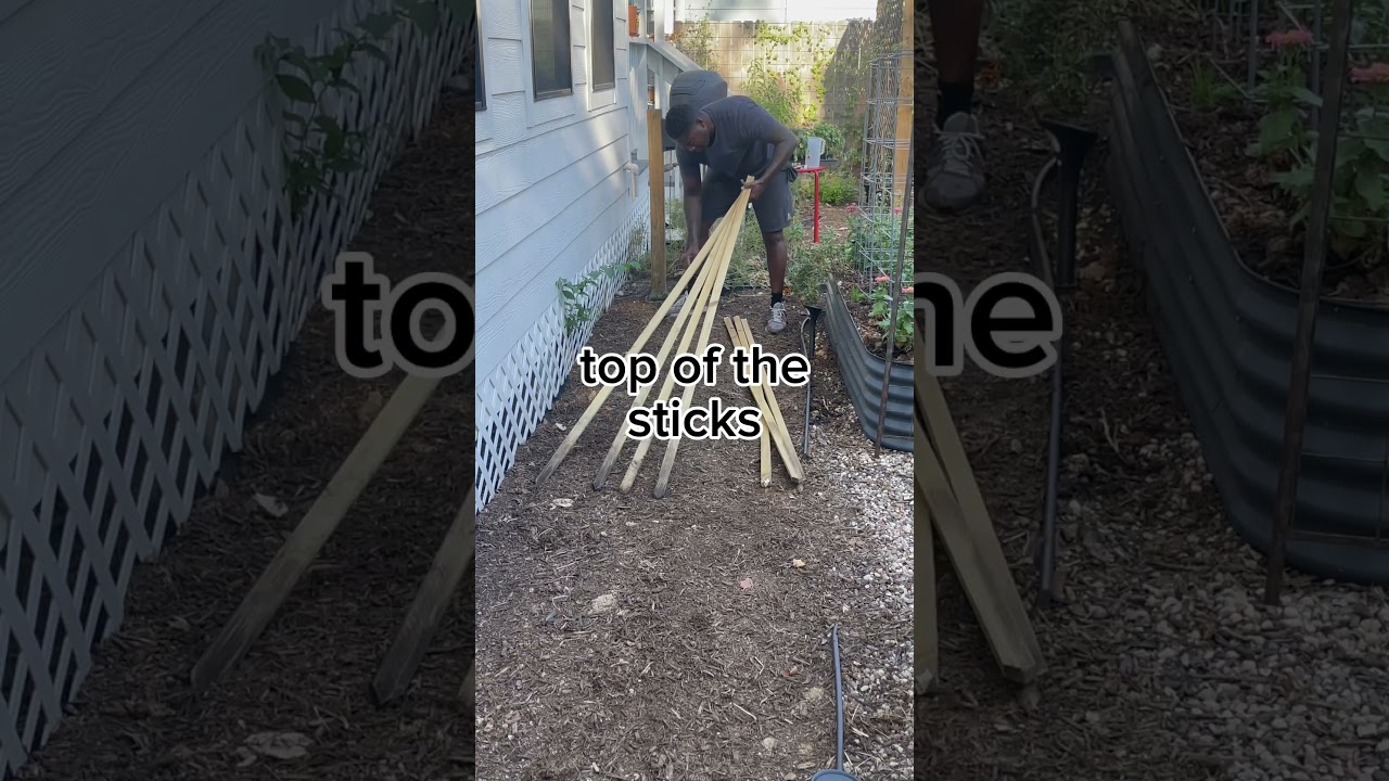 Easy DIY gardening trellis