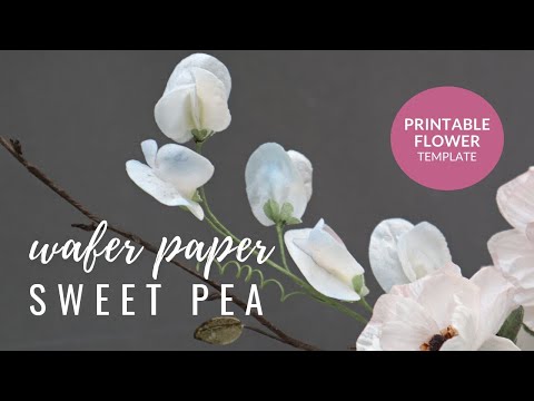 How to make Sweet Pea Flowers for cake decorating using wafer paper | Modern Cakes and Florals