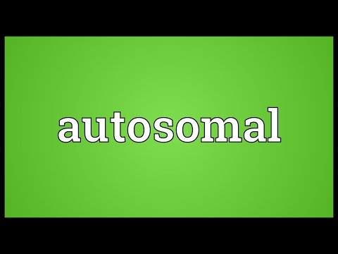 Autosomal Meaning