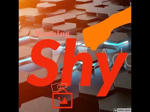 Shy meaning