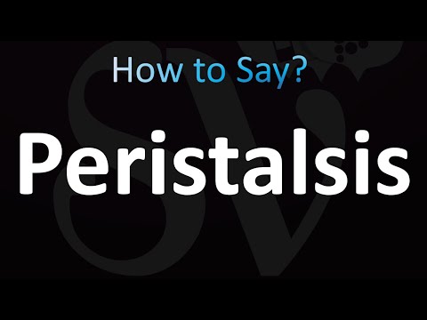 How to Pronounce Peristalsis (Correctly!)