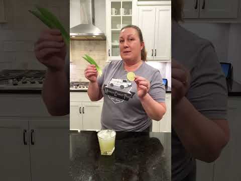 Snoop Dogg Gin and Juice Remix!! #shorts #cocktails #snoopdogg