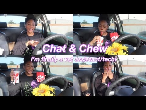 How I Became a Veterinary Assistant with NO EXPERIENCE! | Chat & Chew w/ Nay
