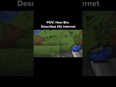 Minecraft Lag Moment