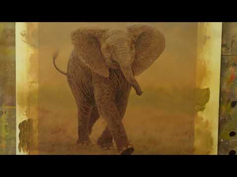The Story of an Elephant Painting | My Wildlife Art | Robert E Fuller