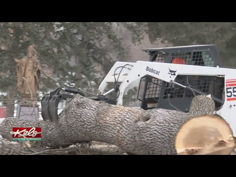 St. Michael Catholic Cemetery Preparing For Emerald Ash Borer